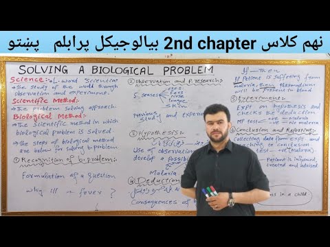 solving a biological problem | biological method in pashto | 9th class biology chapter 2 | sabar ...