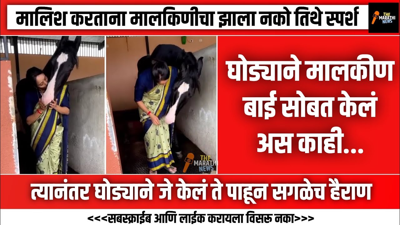 मालकीण बाईने केली मालिश, घोड्याने काढलं त्याच मोठं... | The Marathi News - YouTube