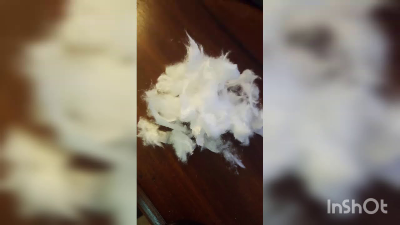 Homemade Cotton Stuffing - YouTube