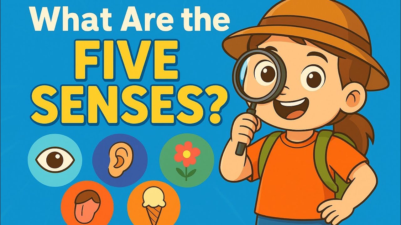 What Are the Five Senses? | Learn with Fun! 👁️👂👃👅🤚 #FiveSenses # ...