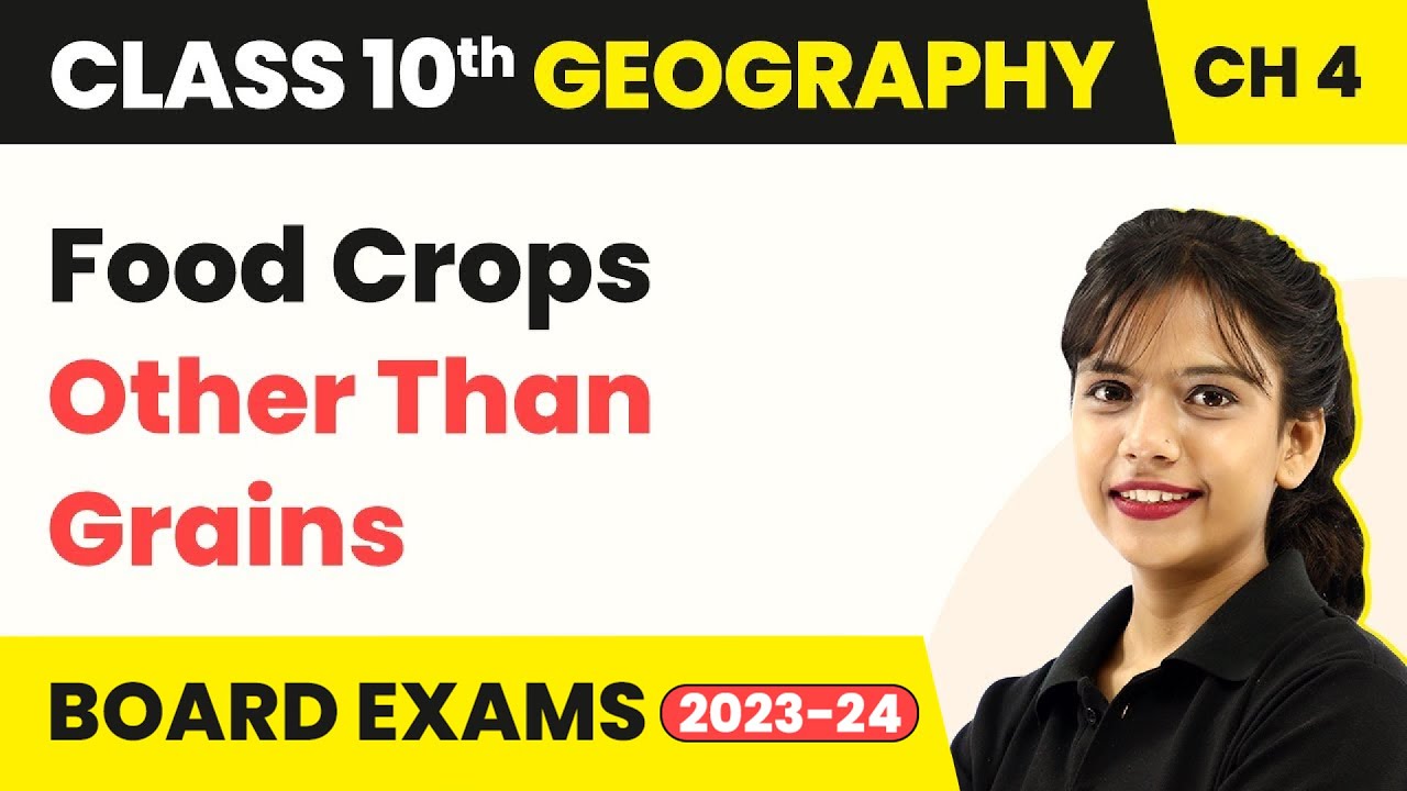 Food Crops Other Than Grains - Agriculture | Class 10 Geography Chapter ...