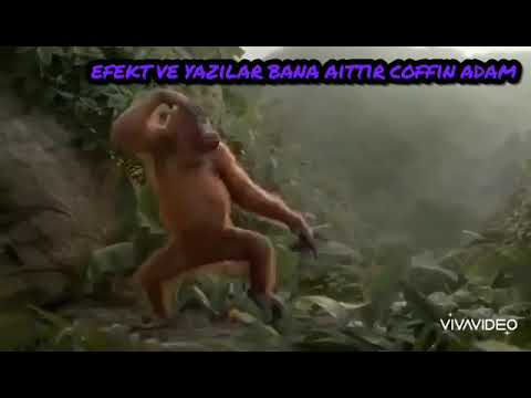 Dans eden çılgın maymun