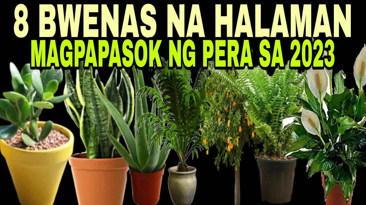 8 BWENAS NA HALAMAN NA MAGPAPASOK NG PERA - YouTube