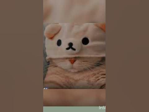 Милые фотки 🥹 - YouTube