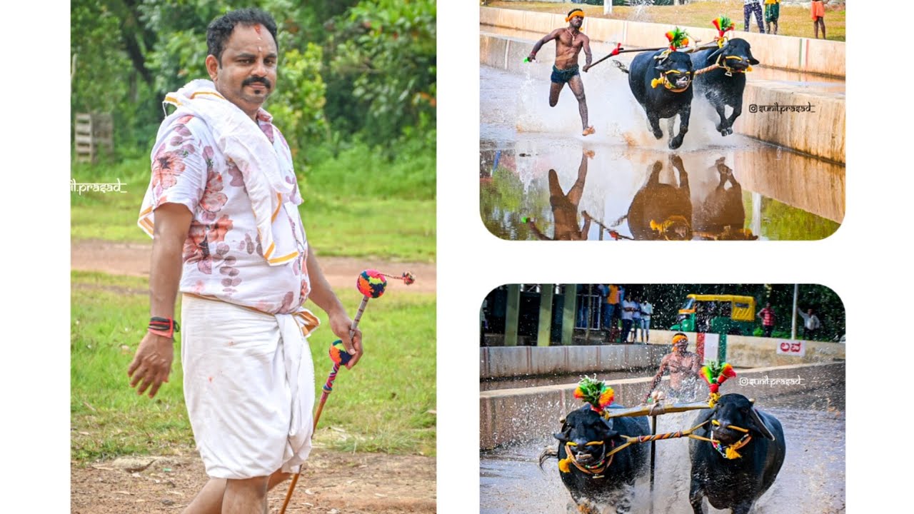 MIJAR PRASAD NILAYA | PLOUGH SENIOR | NAVUNDA PUTTA | MIJAR PAKKU ...