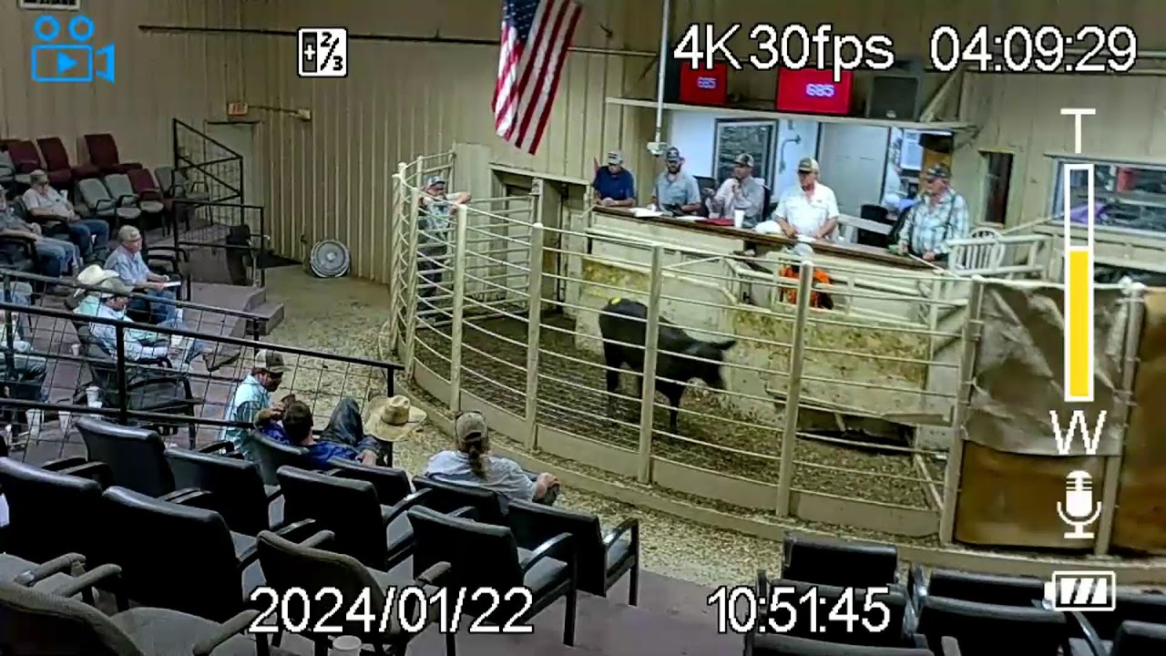 Red River Livestock LLC - YouTube