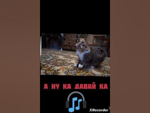 А ну ка давай ка - YouTube