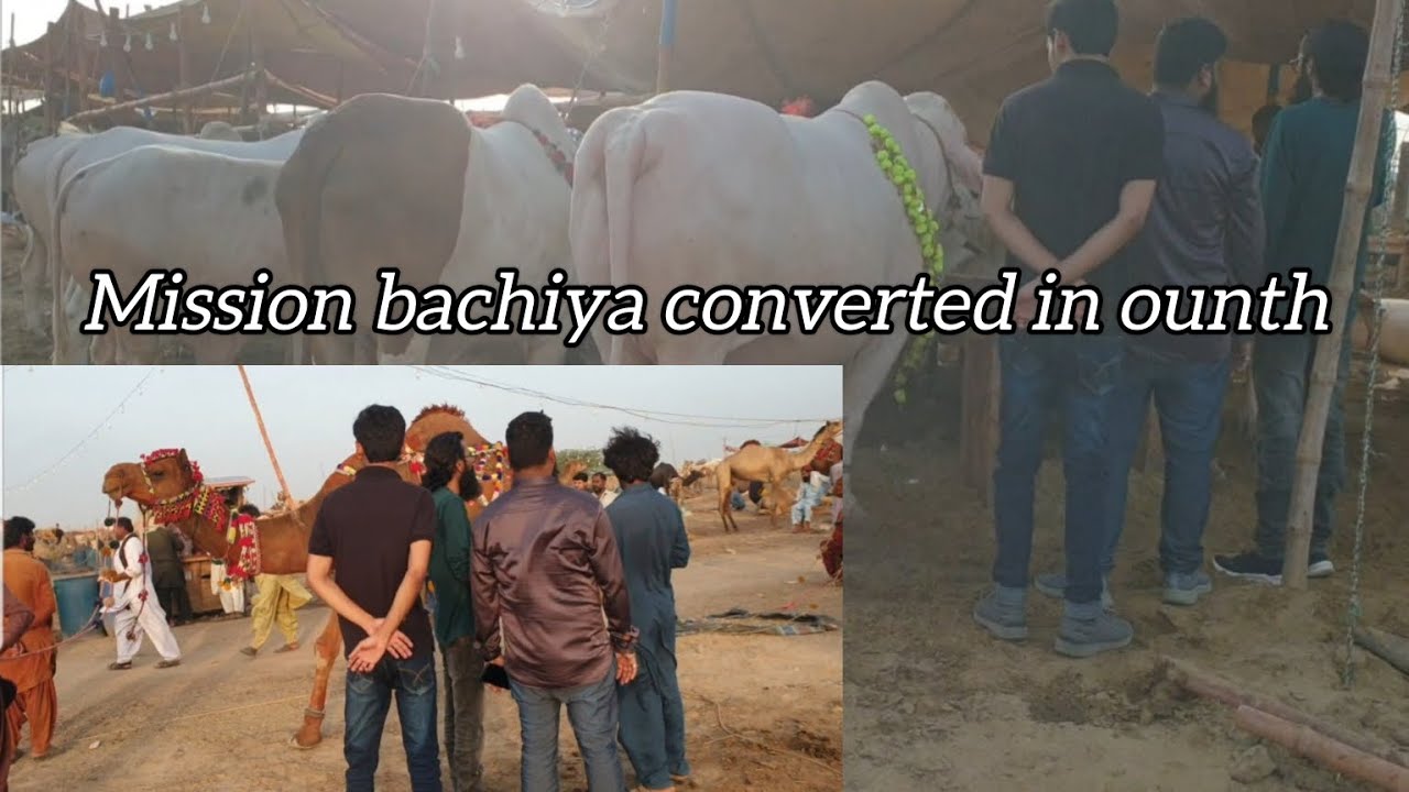 mission bachiya converted in ounth - YouTube