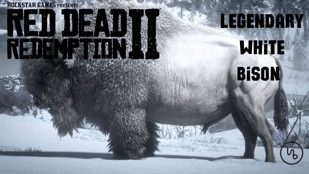Hunting the Legendary White Bison white bison in rdr2 - YouTube