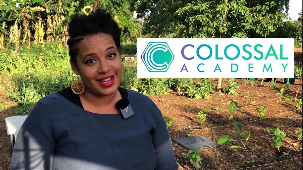 Colossal Academy introduction - YouTube