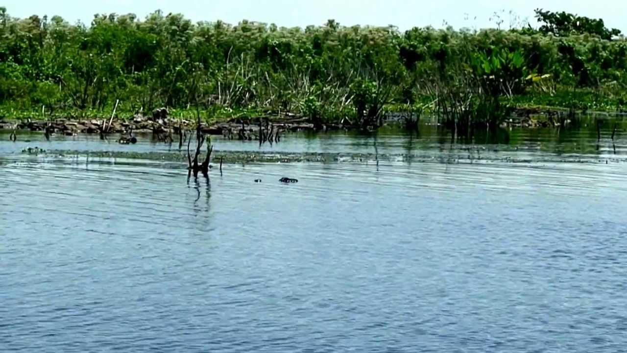 Lake Okeechobee Roland Martin Marina Clewiston, FL. Big "O" Airboat ...