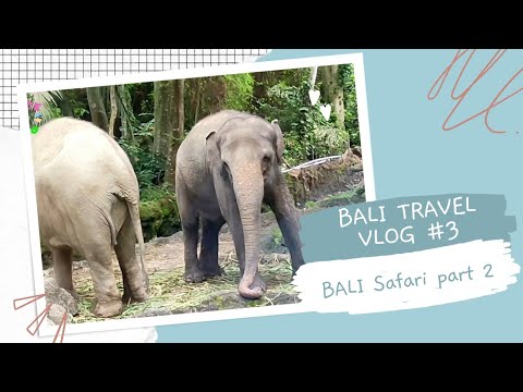 BALI SAFARI & MARINE PARK part 2 | wisata melihat binatang di Bali ...
