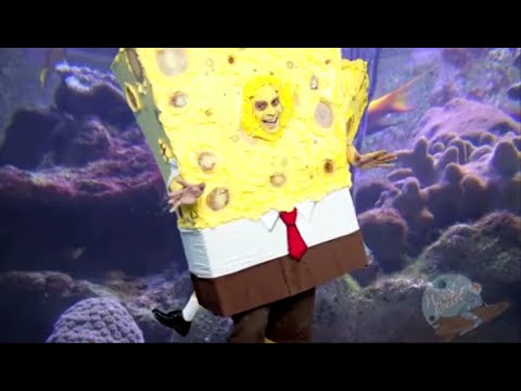 spongeknob squarenuts intro - YouTube