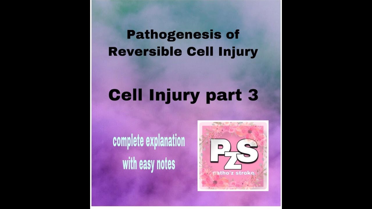Pathogenesis of Reversible Cell Injury, Cell injury part 3, ischaemic ...