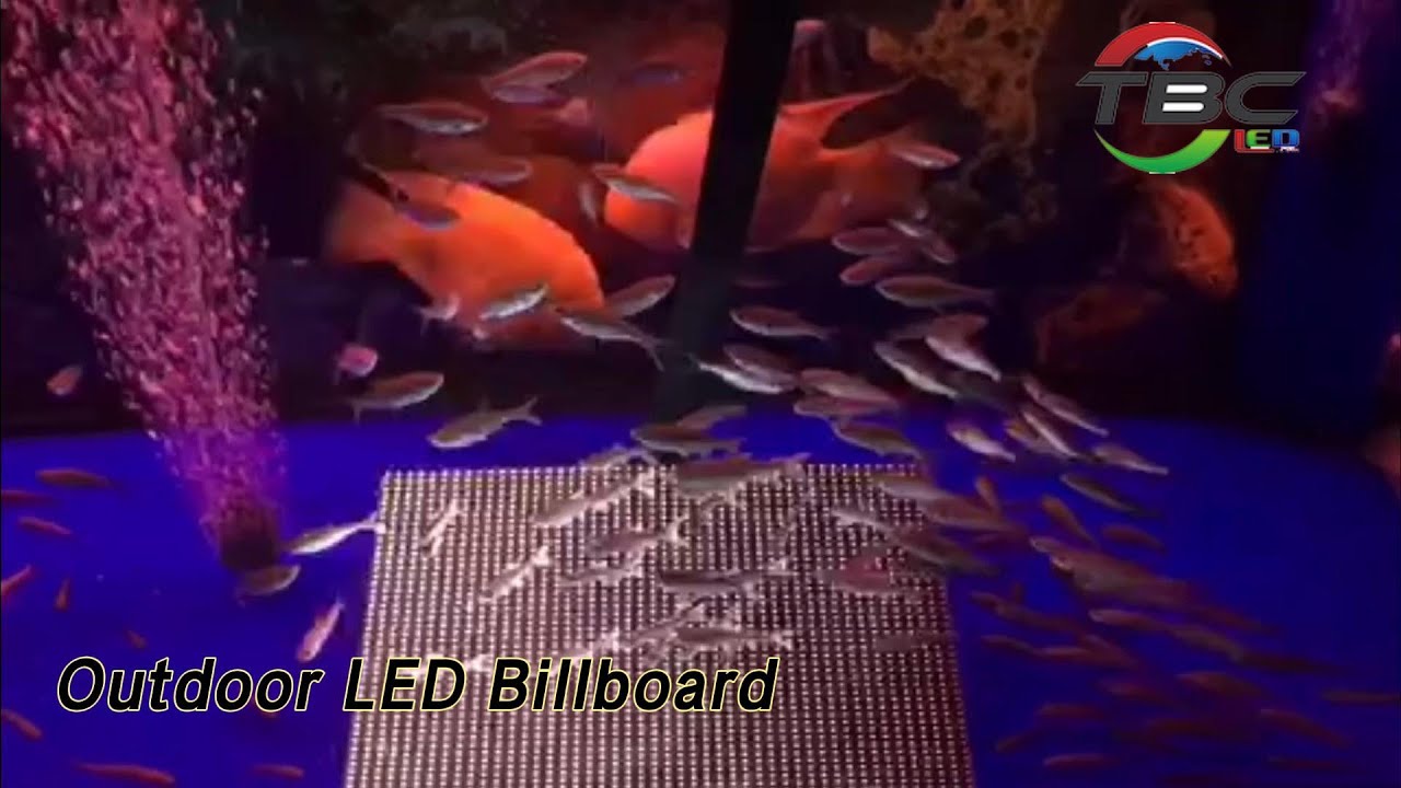 Waterproof Outdoor LED Billboard SMD 6000nits P10mm IP68 High Brightness - YouTube
