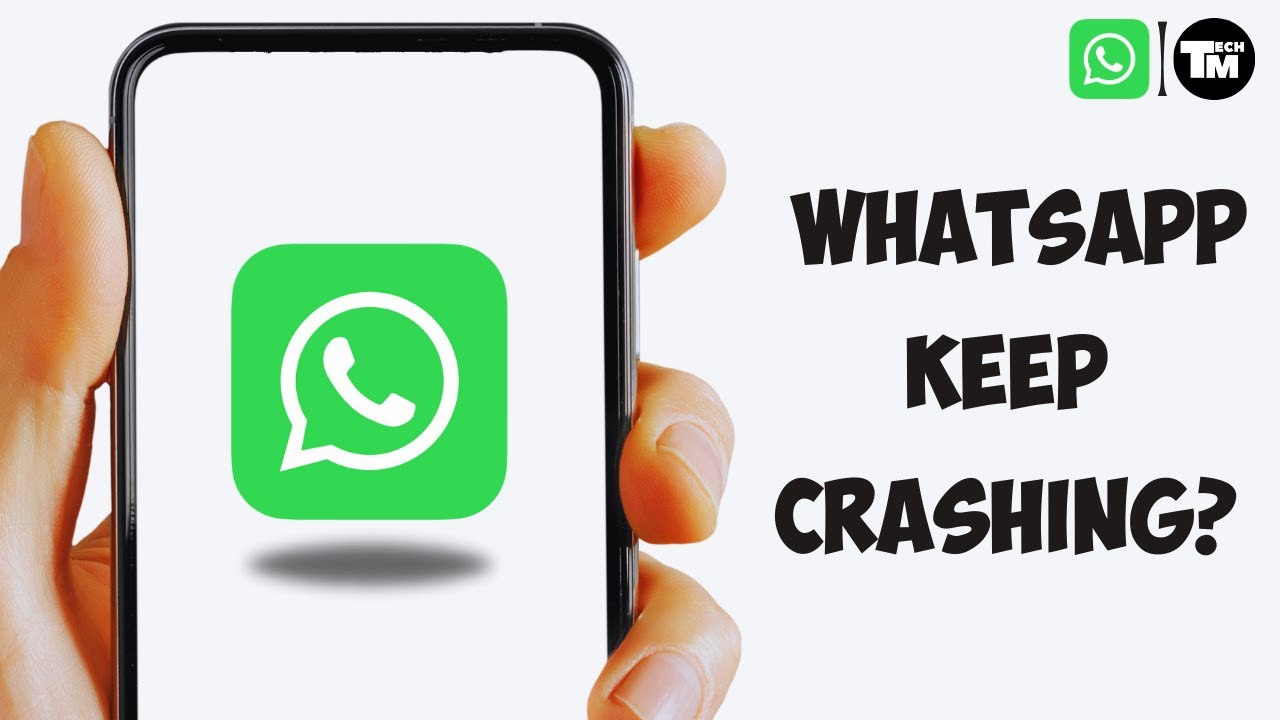 How To Fix WhatsApp Keep Crashing on iPhone iOS 16 | WhatsApp Crashing ...