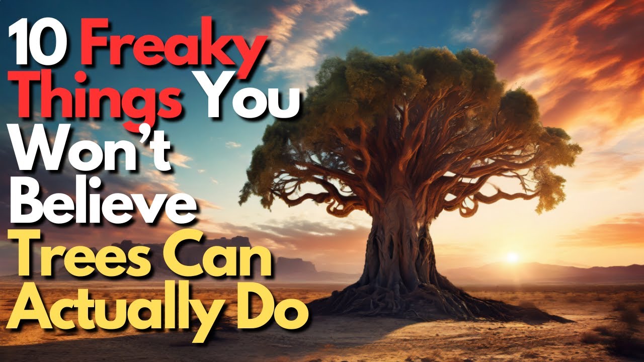 10 Freaky Things You Won’t Believe Trees Can Actually Do - YouTube