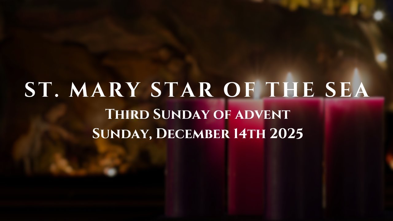 Homily for the Third Sunday of Advent (Gaudete Sunday) - YouTube
