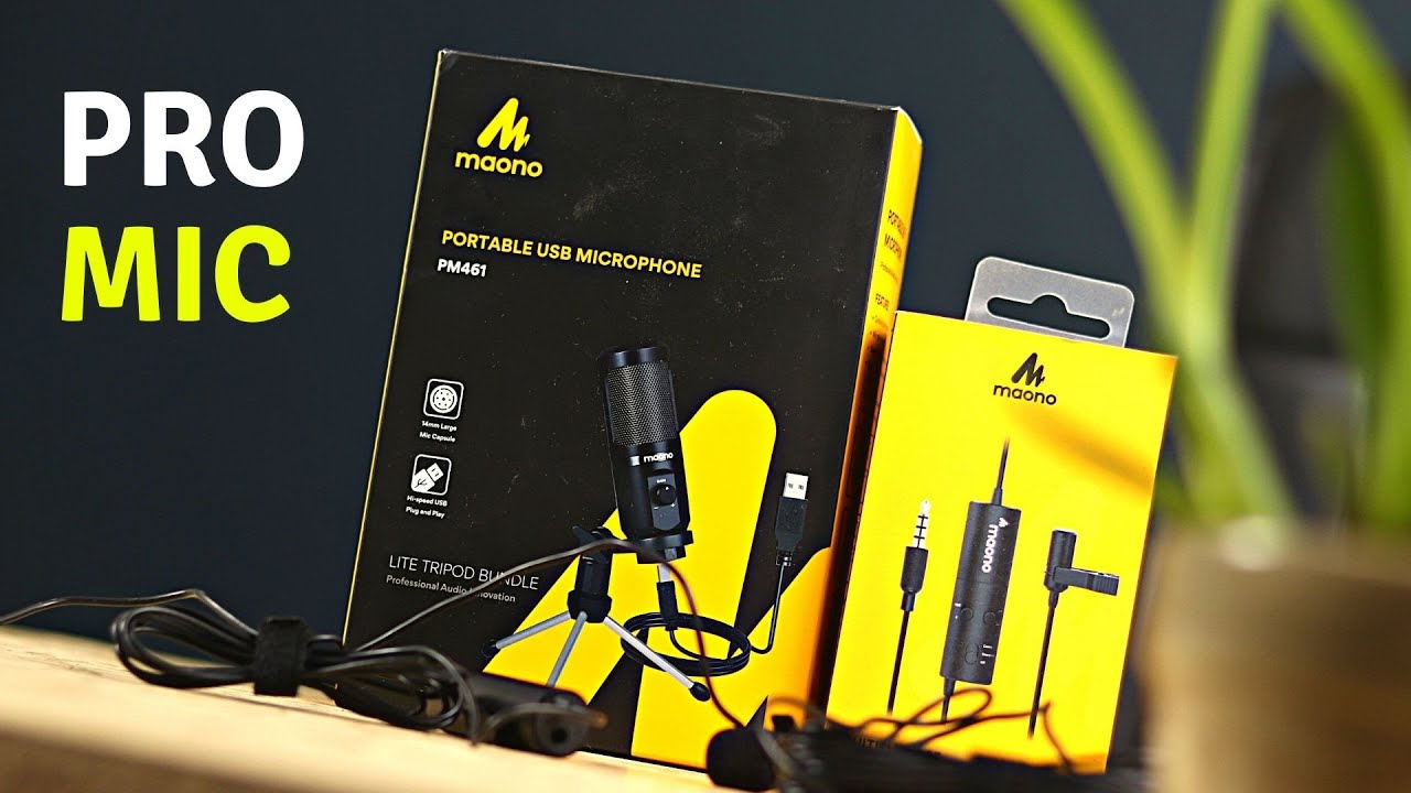 Budget Professional Microphones With Gain Adjustment & Noise ...