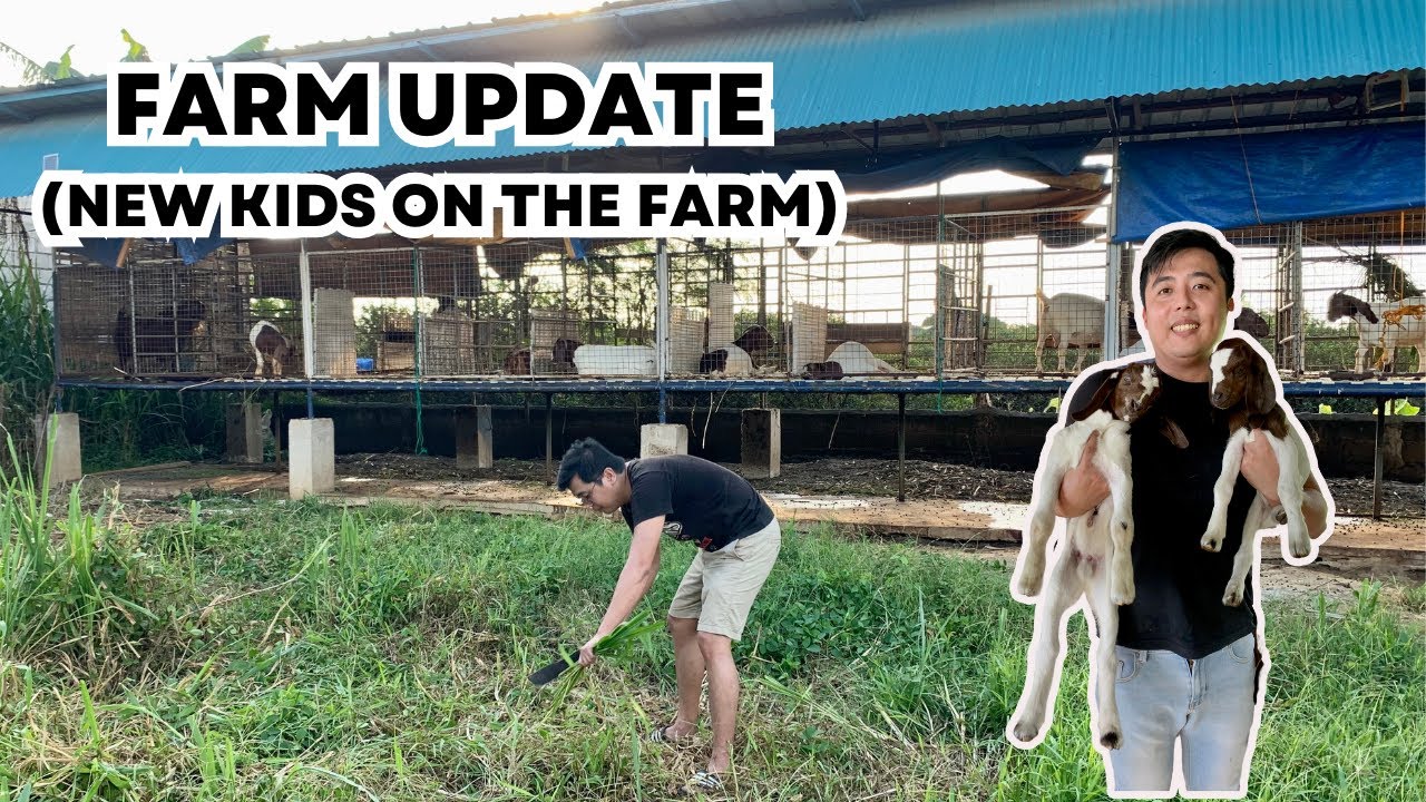 Farm Update (New Kids on the Farm) | Vlog 37 - YouTube