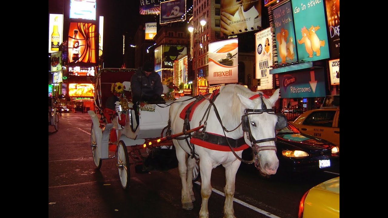 BLINDERS: The Truth Behind the Tradition - YouTube