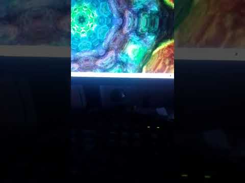 17 EYLÜL ZAR ETME BULBUL