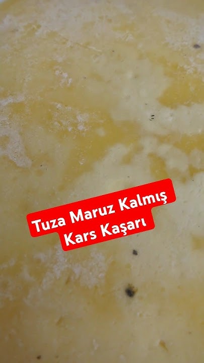 Tuza Maruz Kalmış Kars Kaşarı - YouTube
