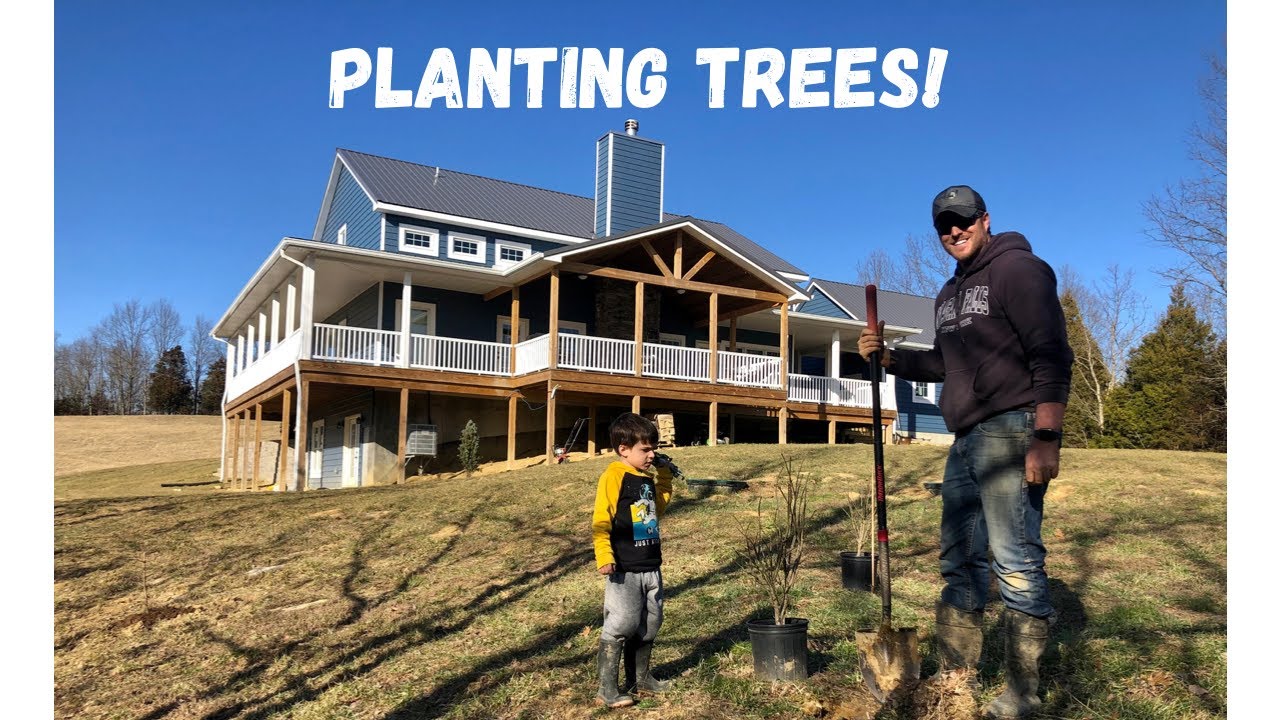 Building our Farmhouse: #60- PLANTING TREES! (How to transplant trees ...