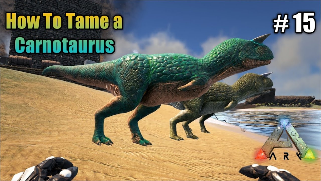 How to tame a carnotaurus | ark survival evolved| ark survival evolved ...