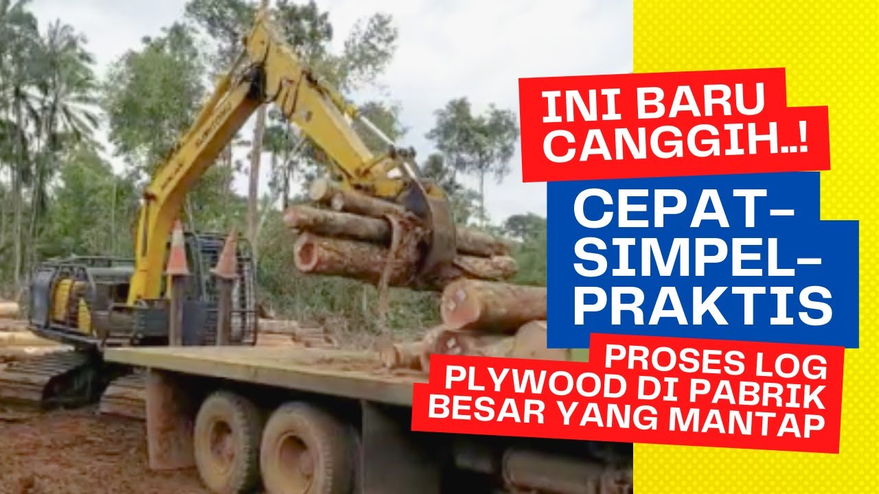 Proses plywood | Proses pemuatan log kayu dengan alat berat yang cepat ...