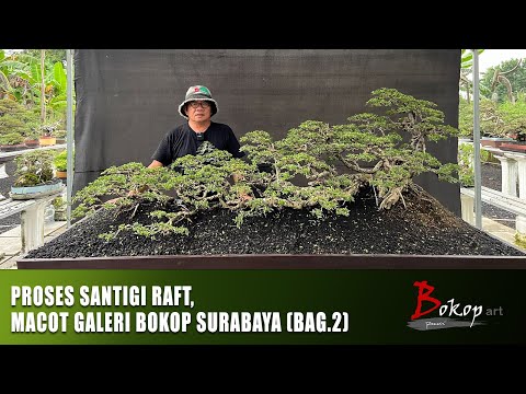 PROSES SANTIGI RAFT, MACOT GALERI BOKOP SURABAYA (bag.2)