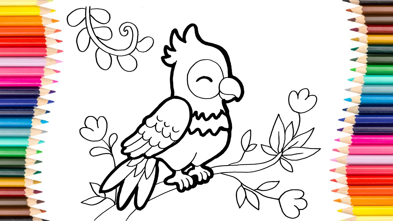 How to Draw a Rainbow Parrot For Kids And Toddlers - YouTube
