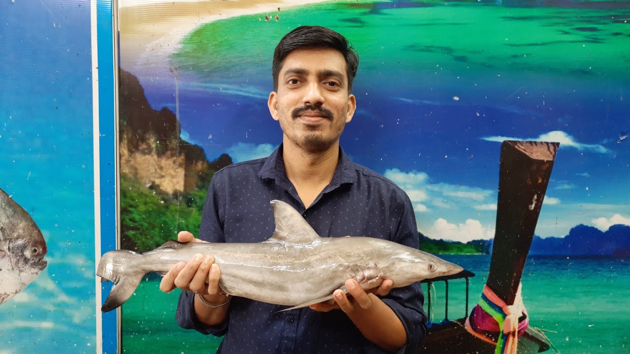 NEVER SEEN BEFORE..🦈🦈 | Fresh Big 5 KG SHARK | FISH CUTTING SKILLS ...