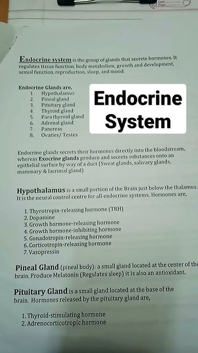 medical coding basics - YouTube