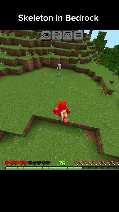 Java Skeleton VS Bedrock Skeleton #minecraft #shorts - YouTube