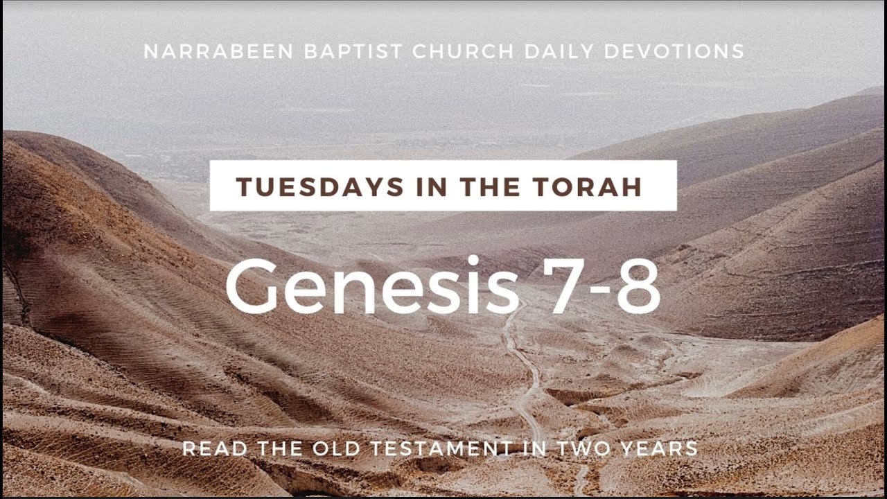 Reading the OT: Genesis 7-8 - YouTube