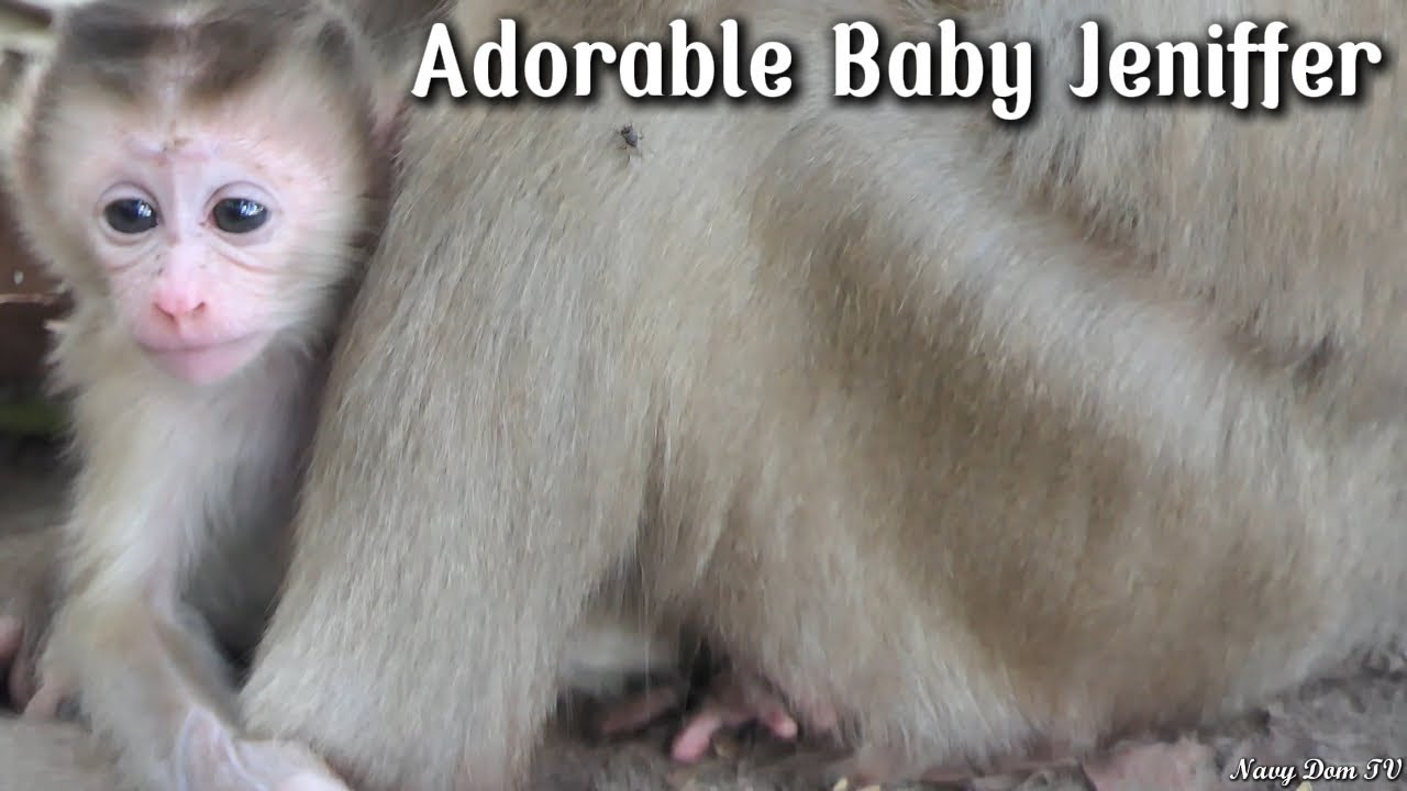 Watch Baby Jennifer's First Day Alone from Mom Jolie! Emotional Moments ...