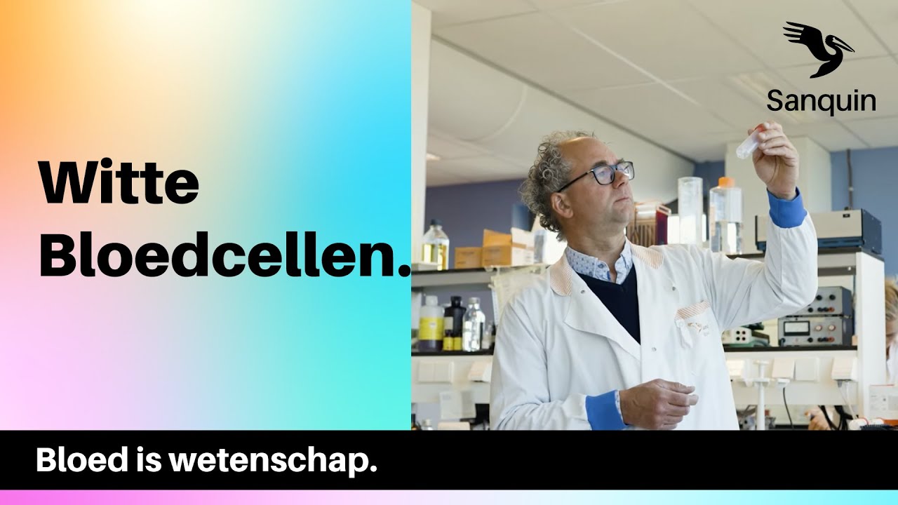 Hoe kan een witte bloedcel door de vaatwand kruipen? - YouTube