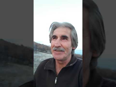 Akşam gezmeleri