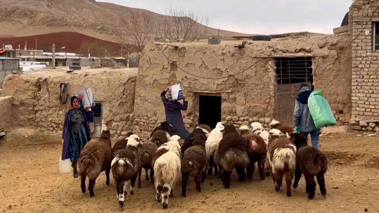 A Glimpse into the Daily Life of Iran’s Elderly Nomads - YouTube