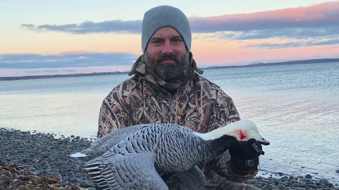 Best Emperor Goose Hunting Guides Alaska - YouTube