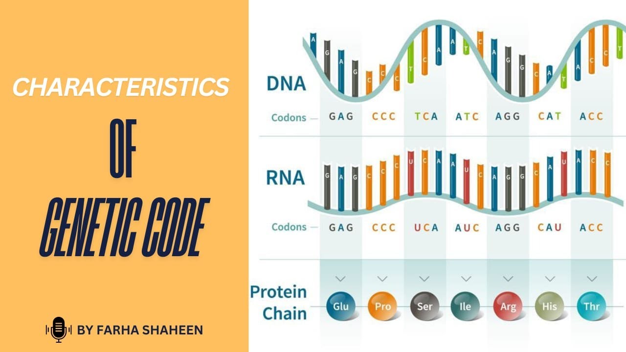Characteristics of genetic code || zoology ||By Farha Shaheen - YouTube