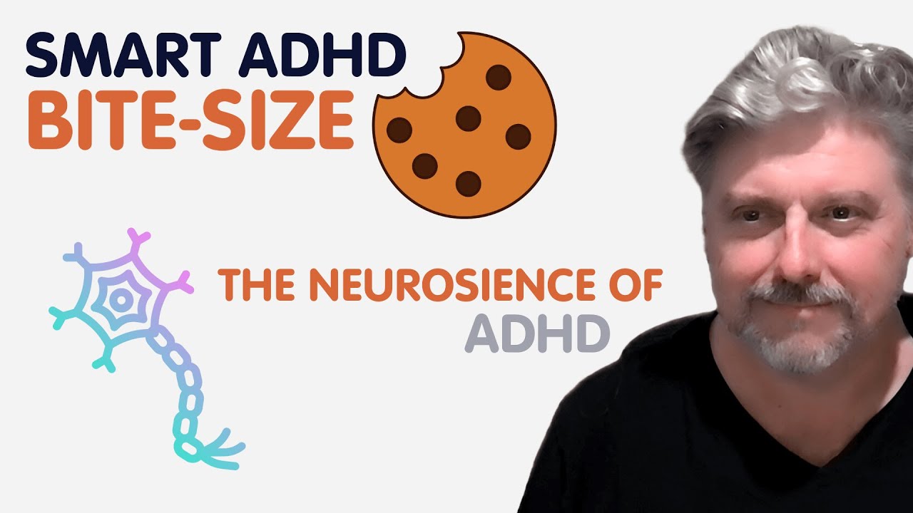 Smart ADHD Bitesize: The Beginners' Guide to the Neurology of ADHD ...
