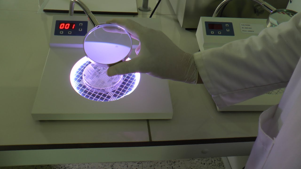 ENSB SNBA 2019 - YouTube