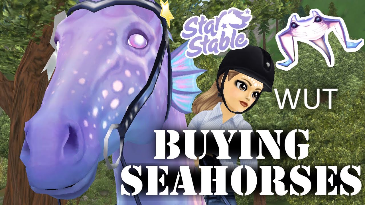 SEAHORSES + PANDA RAYS - YouTube