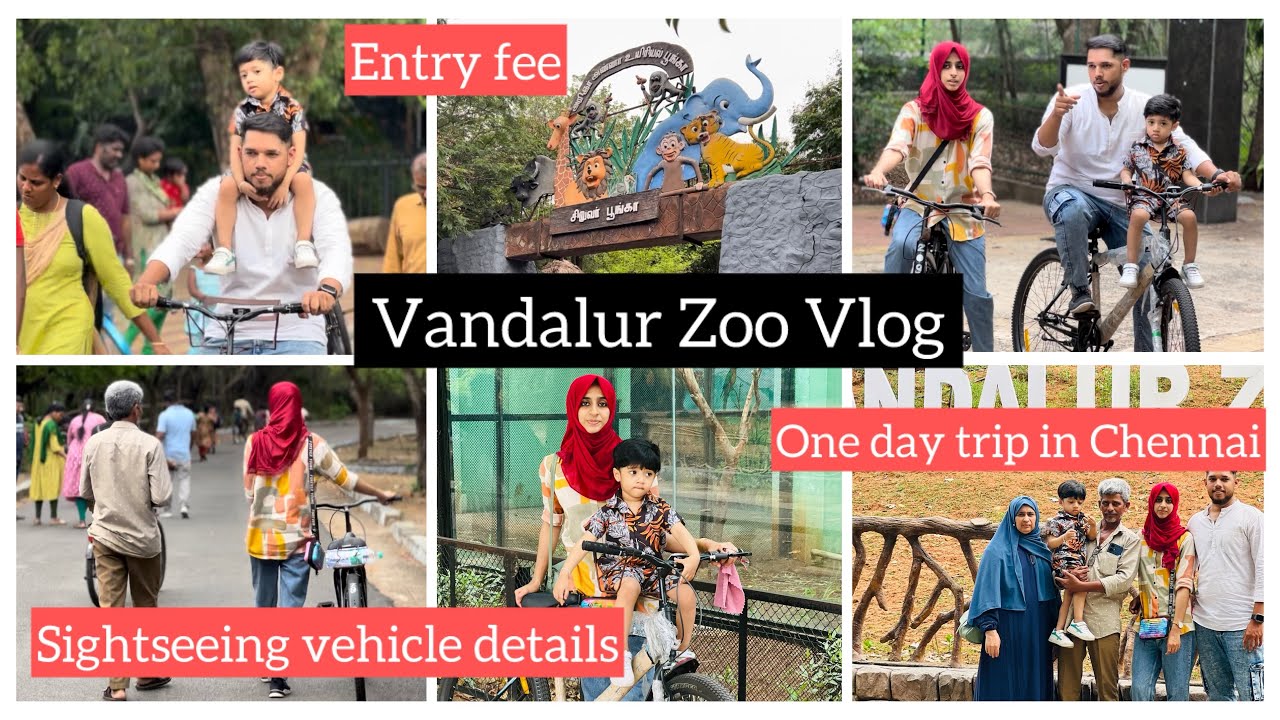 Vandalur Zoo Vlog 🥳 | Entry Fee | Sightseeing Vehicle Details | One day ...