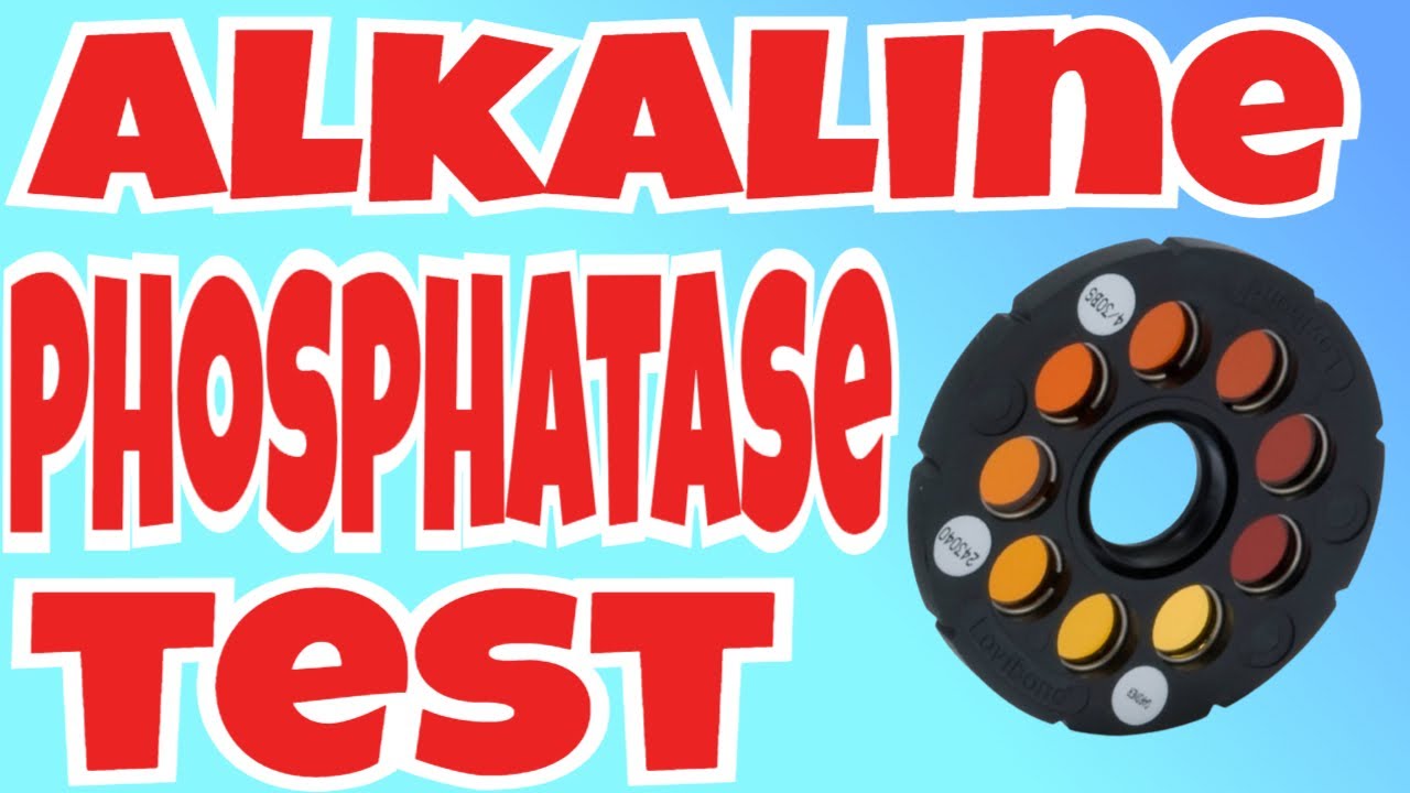 Alkaline Phosphatase Test II Dairy Chemistry - YouTube