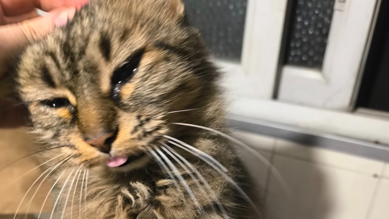 The RPGPundit Encounter Ep2 - Alexander Macris! - YouTube