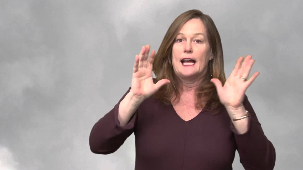 Dr. Amber Kinser - Literature Review - YouTube