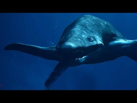 Predator X - Le Mystérieux Reptile Marin! / Documentaire (Français/HD)